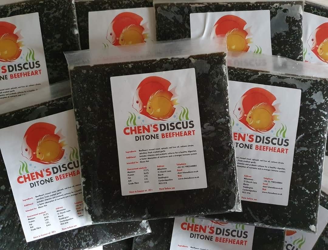 Chens Discus - Aquarium Adventures